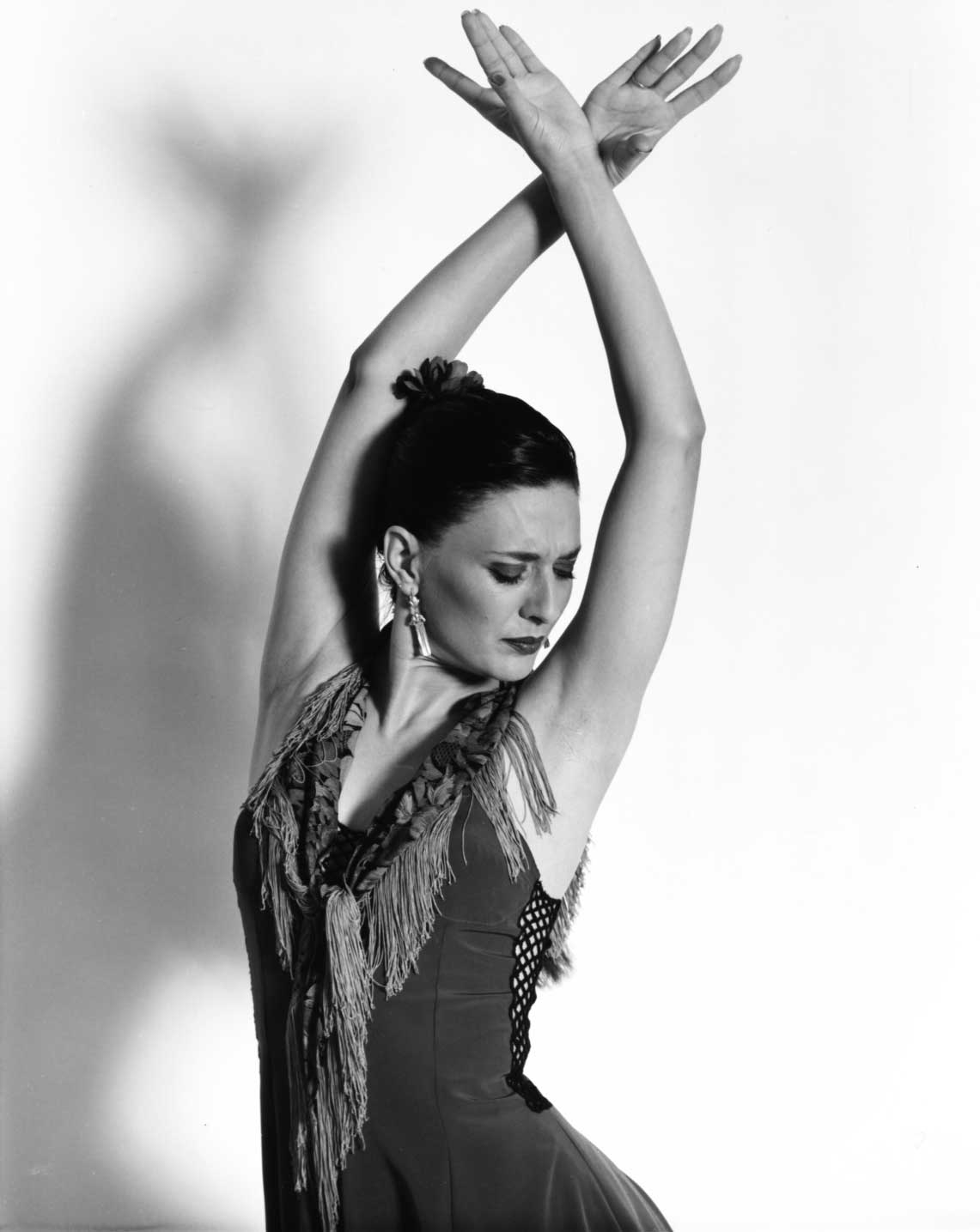 Flamenco EslaSalud Flamenco EslaSalud